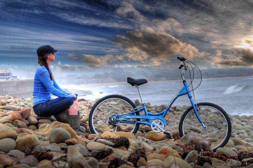Bike Bicycle Shop Mobile and in store Repairs and Rentals The Bike Dude